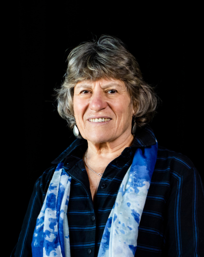 Plenary events - ICME-15